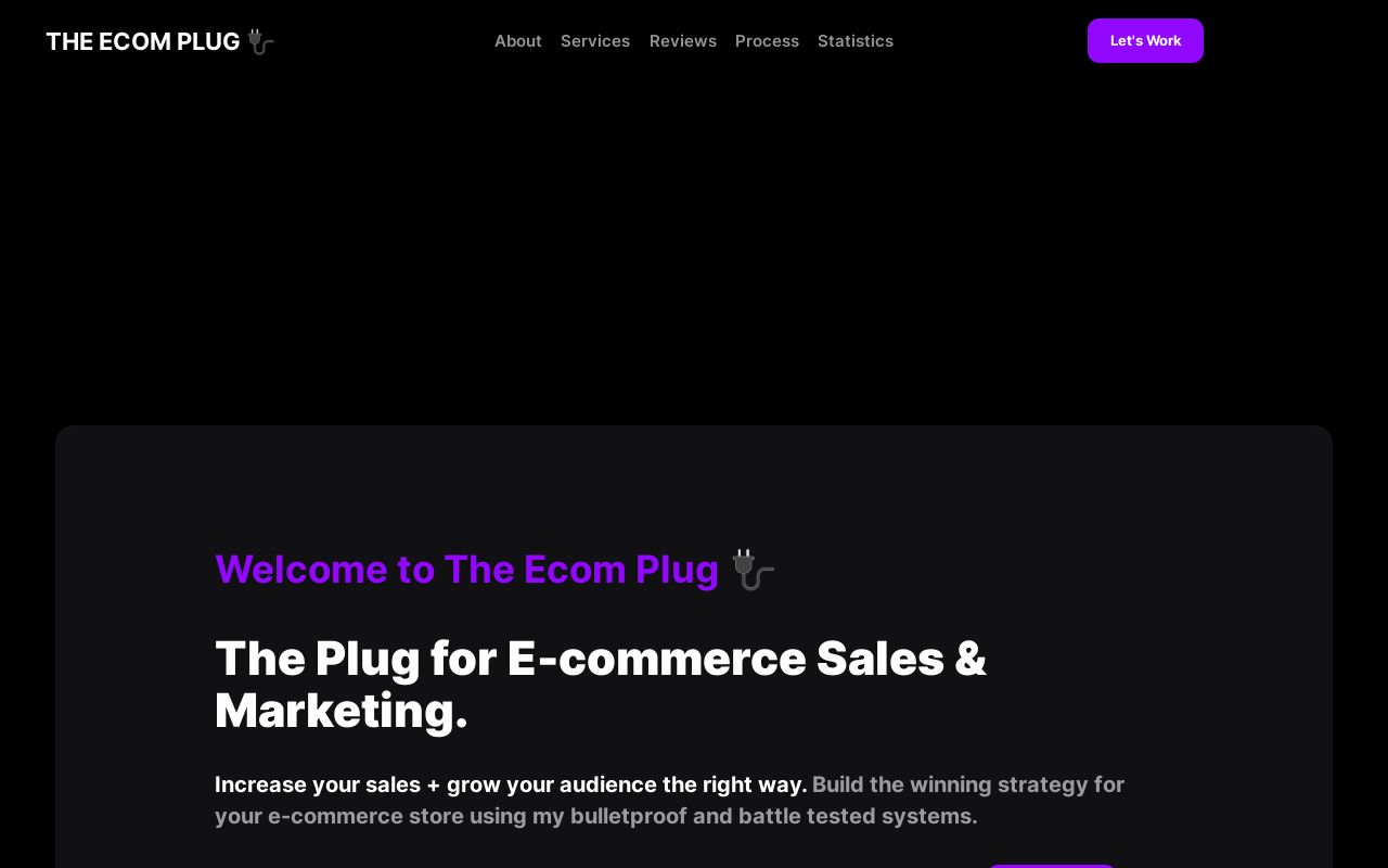 The Ecom Plug
